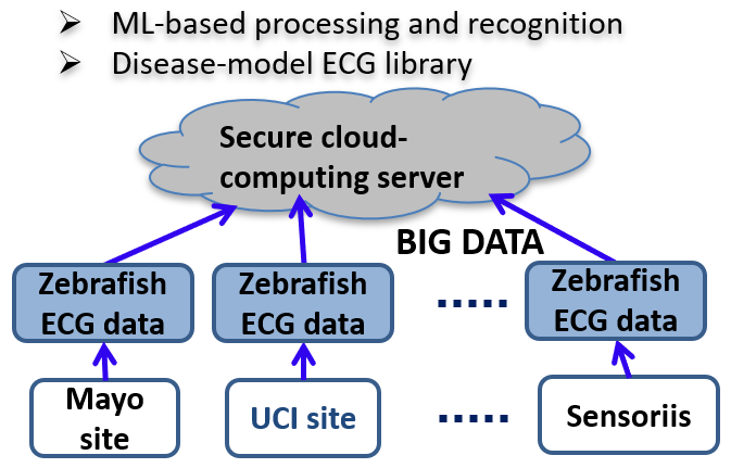 Cloud-Based Mobile Data Management System • Sensoriis